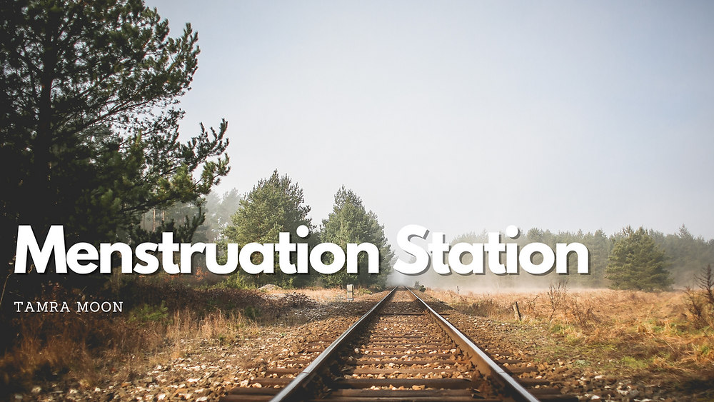 Menstruation Station: Getting Your Period On A Train