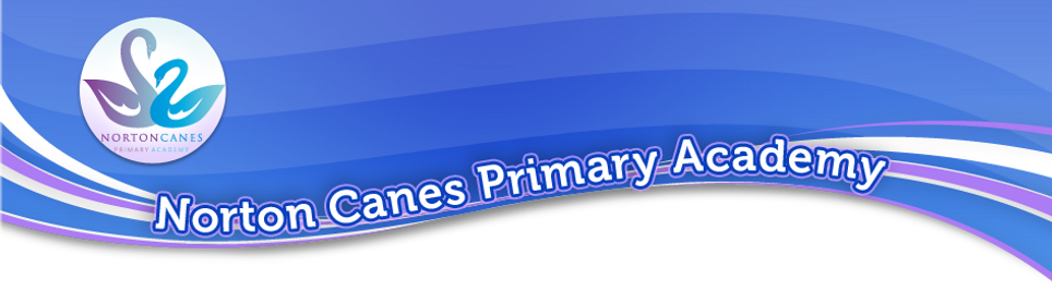 Curriculum | nortoncanes