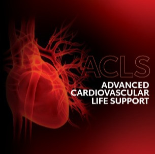 ACLS ebook 2020 guideline - English, ebook (Heart and Stroke) | Beats ...