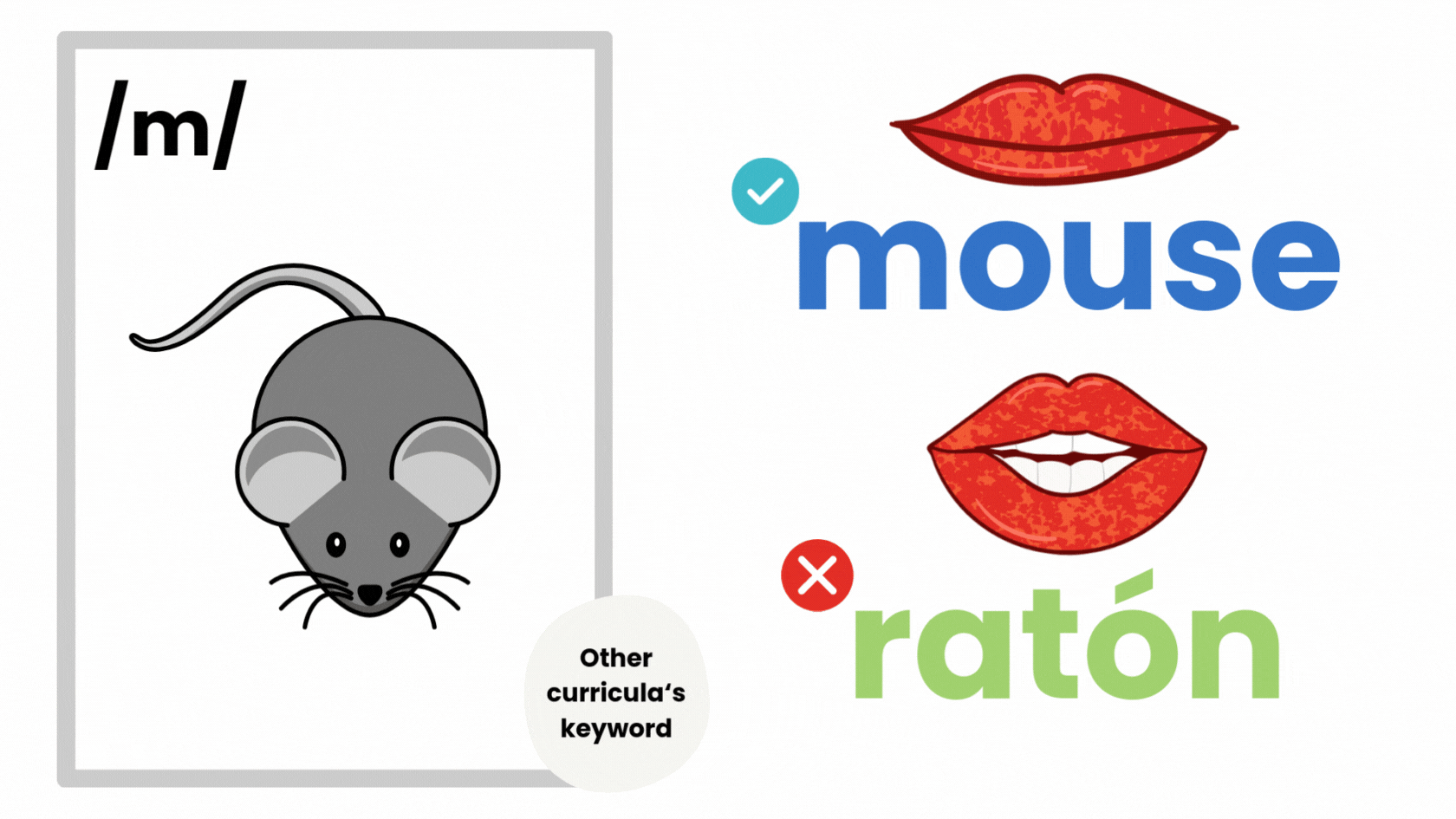 A New Approach to Bilingual Sound-Spelling Cards—Free to Download