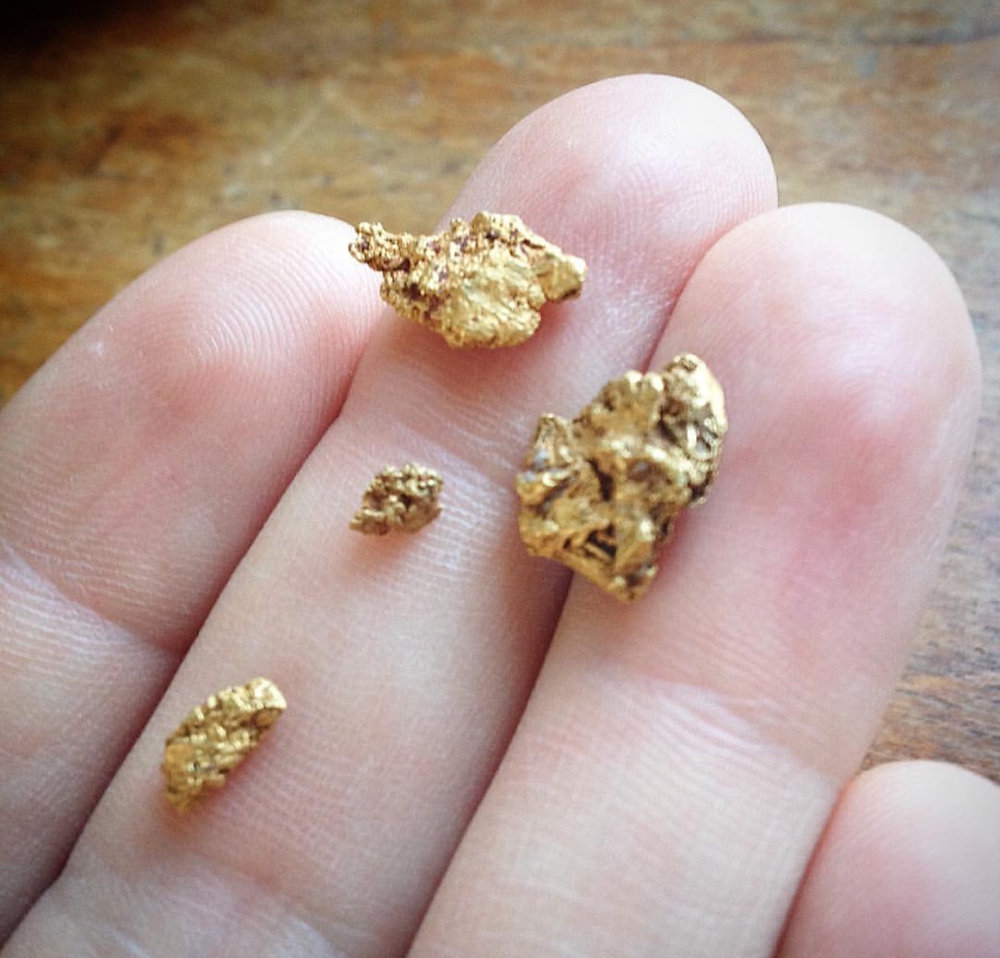 The 2019 Gold Rush, Myth or Fact?