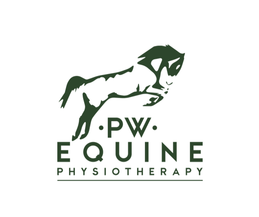 Felicity Collins | International Event Rider