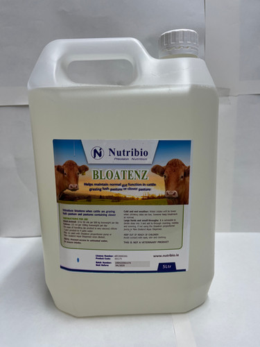 Bloatenz 5L | Allen Equestrian