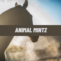 Animal Mintz terpenes | Terp Topia