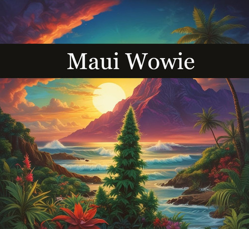 Mowie Wowie terpenes | Terp Topia