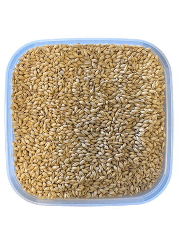 Simpsons Malt - Golden Promise Malt | Storm Brewing