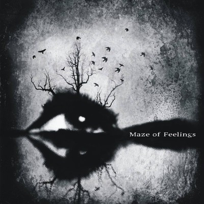 MAZE OF FEELINGS - Maze Of Feelings (CD Jewel Case)