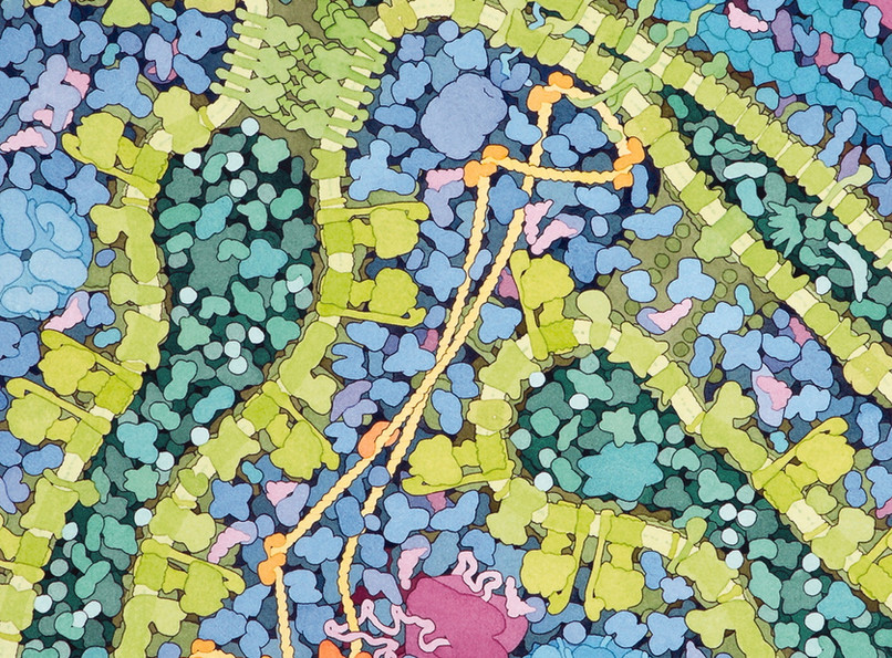 Talleres | FlipYourLearning