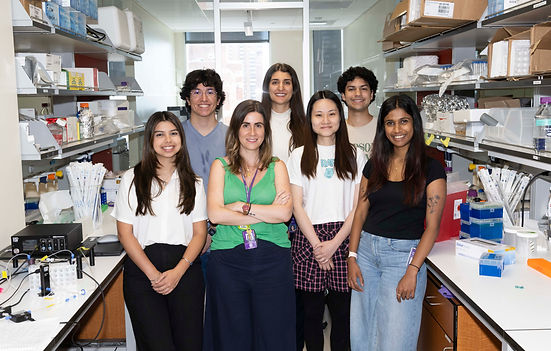 Team | de Lázaro Lab