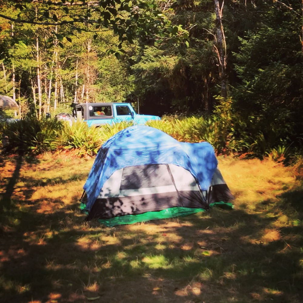 Camping in the Rainforest