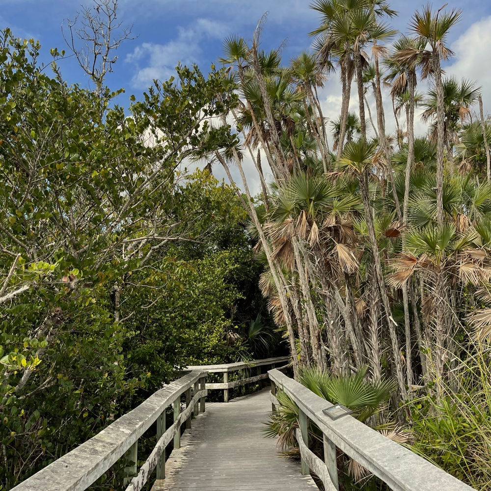 Hiking the Everglades