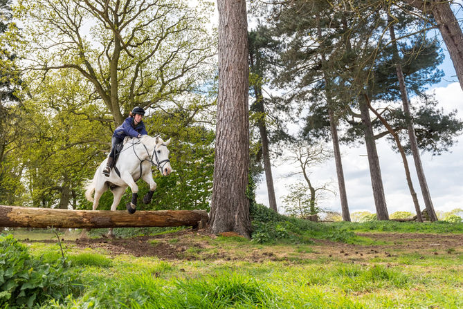 Livery Gallery | High Ash Farm