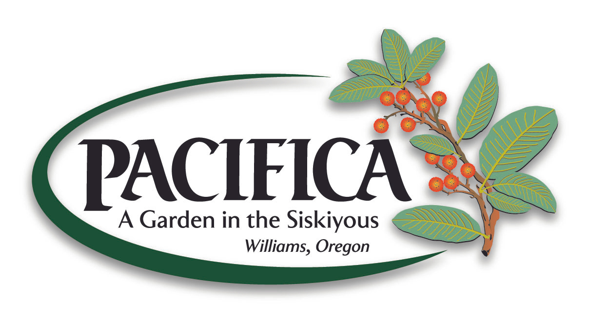 Pacifica | OptionsforEducation