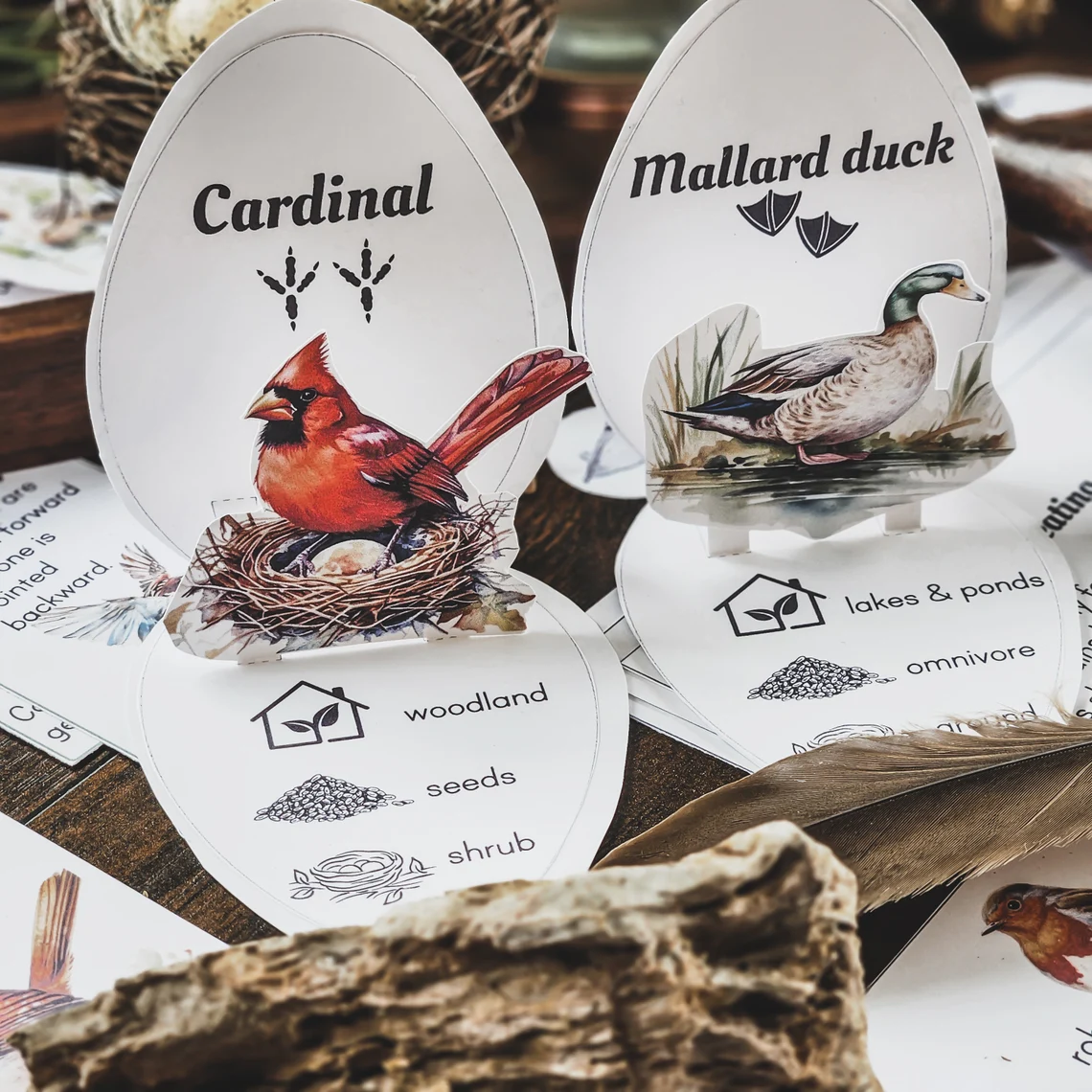 SHOP | My Mega Bundles