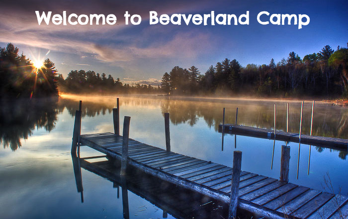 ABOUT US | beaverland
