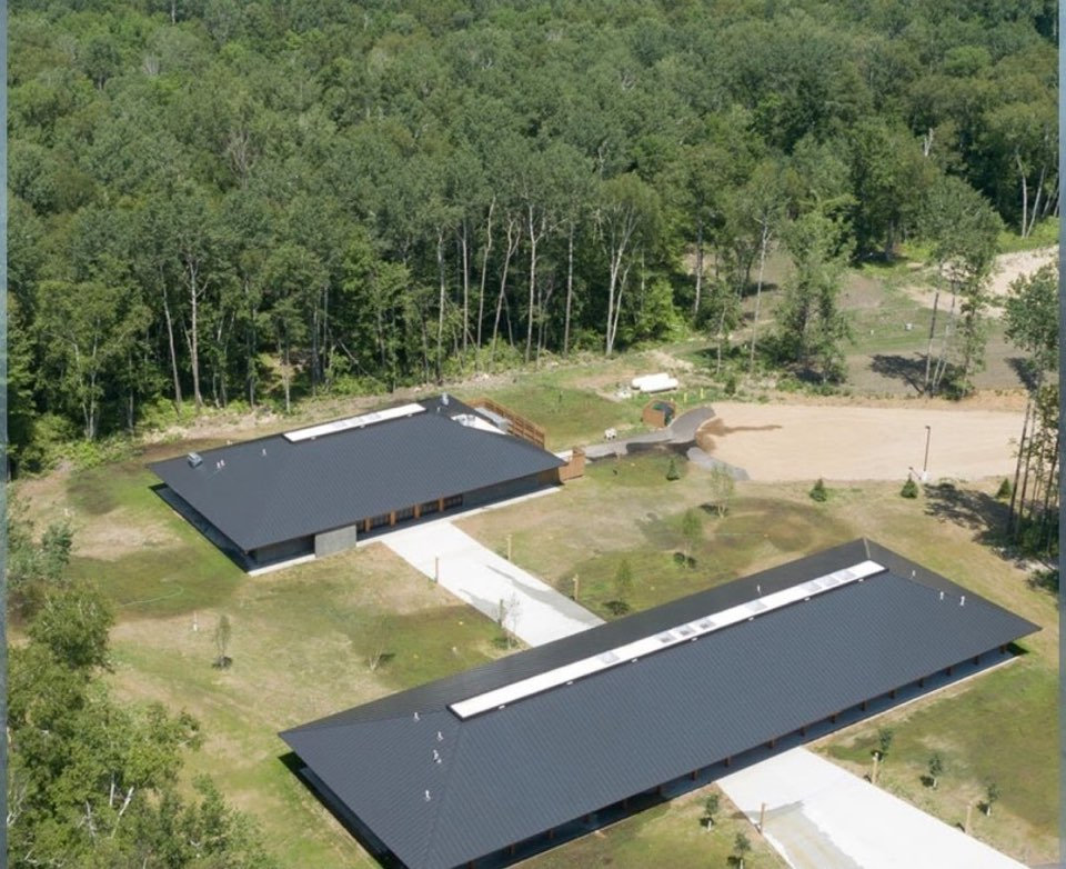 NEW-MINNESOTA PROJECT: From Recovery to Resonance | PGVIS