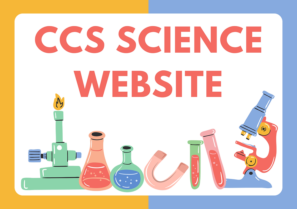 New CCS Science Website for Pupils
