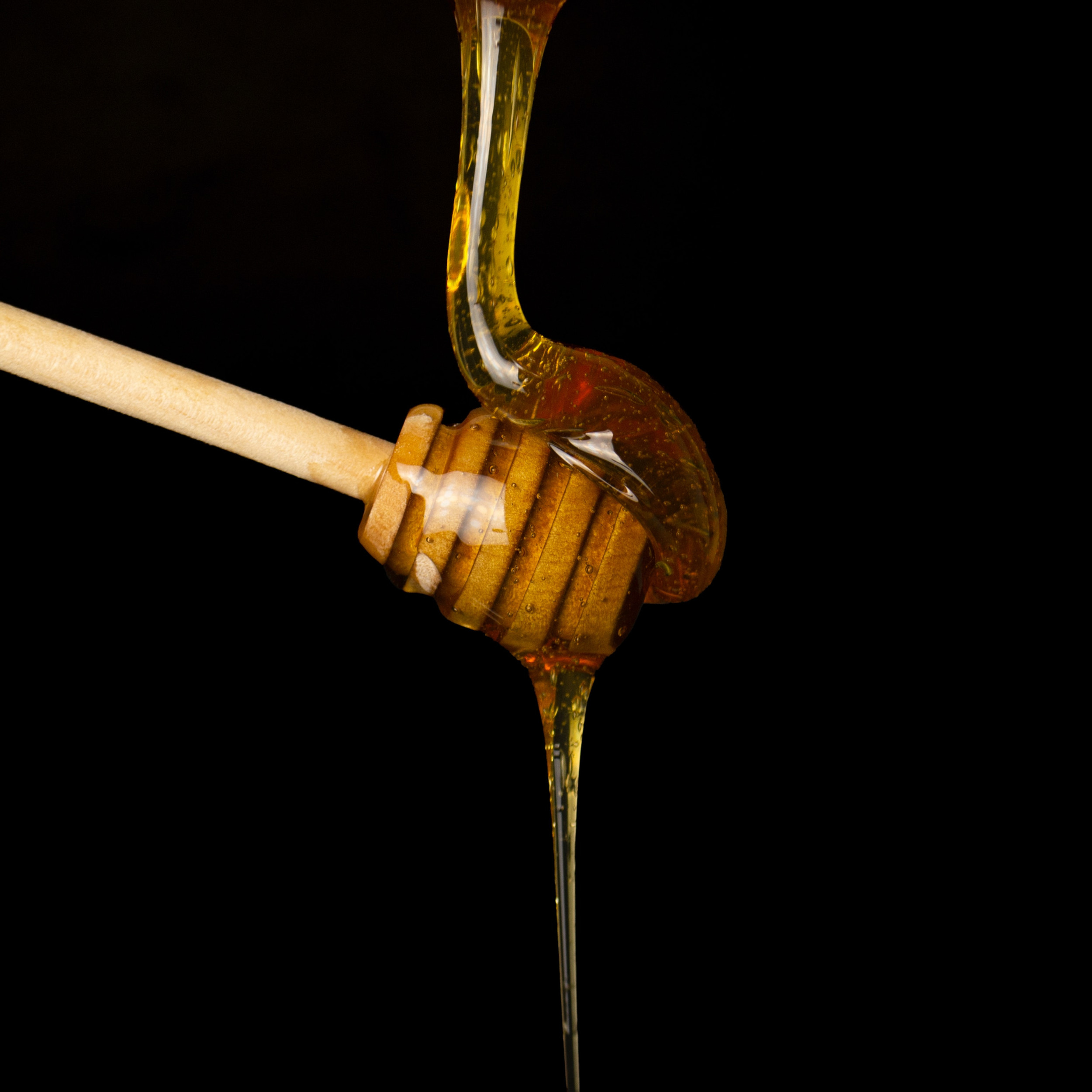Why Honey Looks Different & How Each Variety Tastes