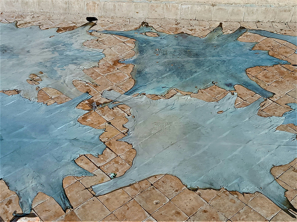 Tanning Hides - Ancient Techniques