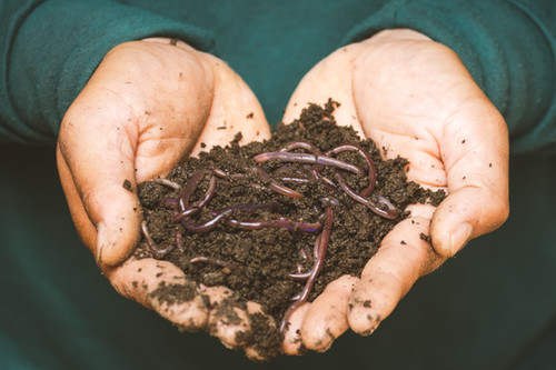 D.I.Y. Home Worm Bed | TRAD Worm Industries