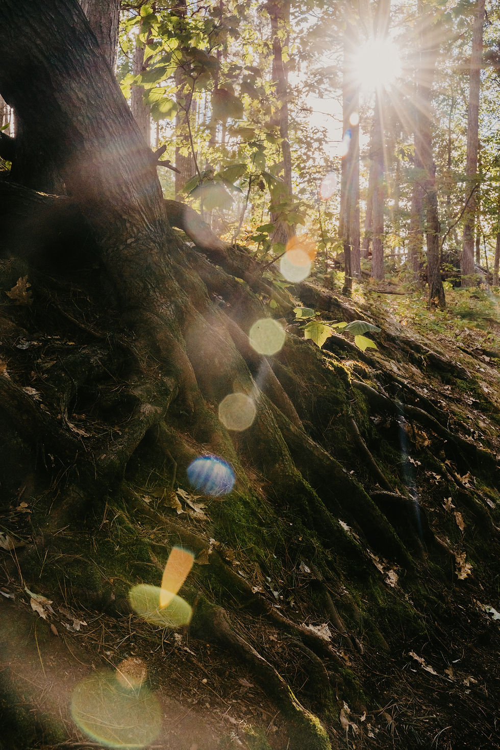 Affirmations for Energy Healers, Healing, Clients, and Grounding!