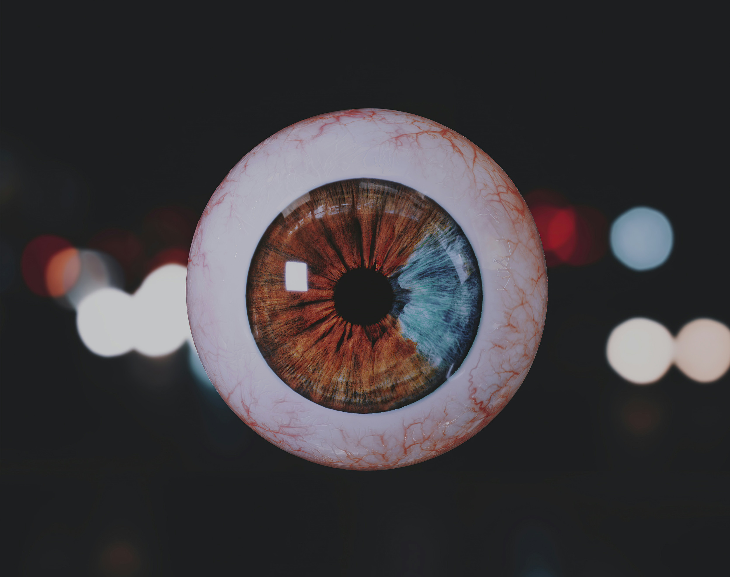 How Does Vision Work? Eye Anatomy Explained| South Bay Retina, San Jose