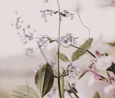 Anxiety Disorders and OCD Therapy Chicago | Mallory Silberman, LCSW ...