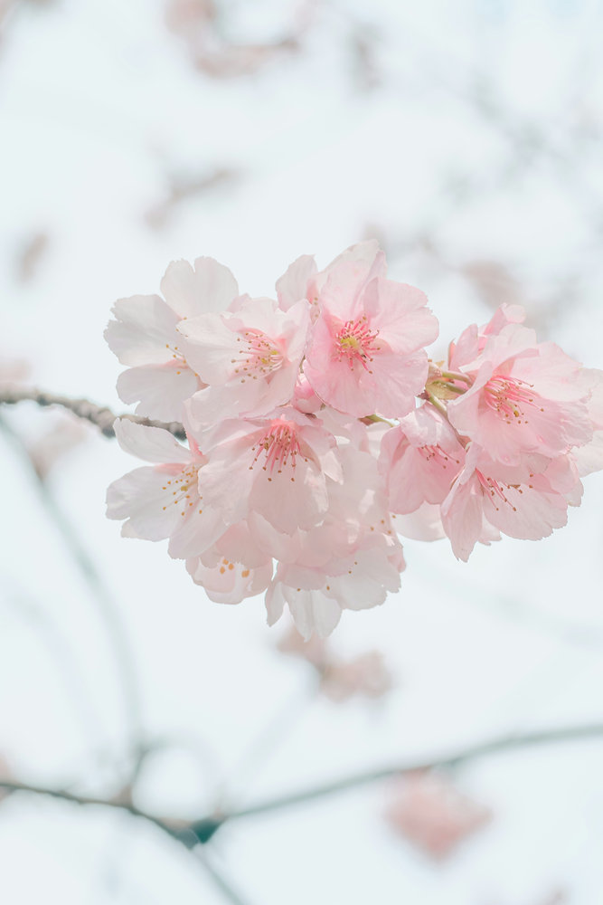 Embracing Peace: Overcoming Barriers to Weight Loss with Self-Kindness ...