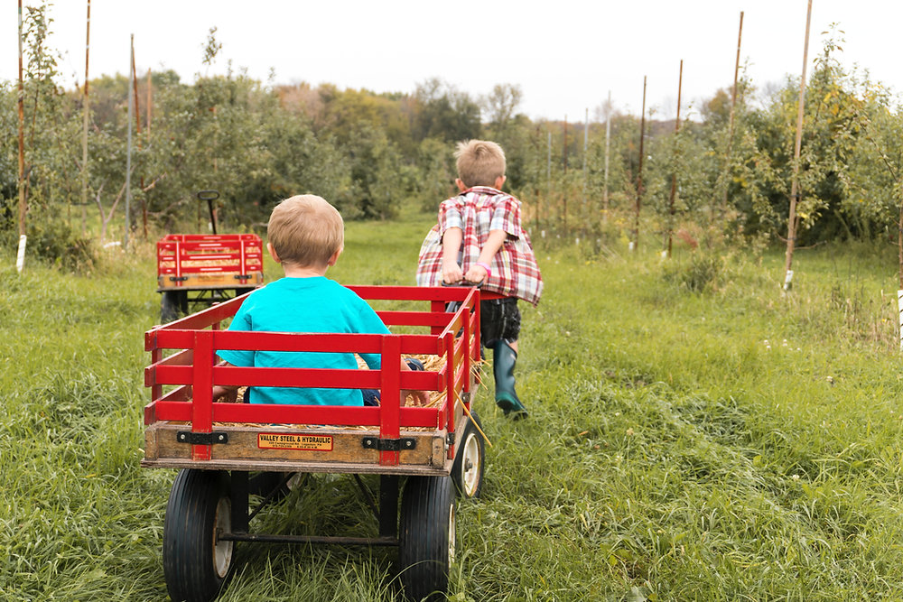 It's Actually Okay to Fall Off the Wagon - January 2025 Webinar