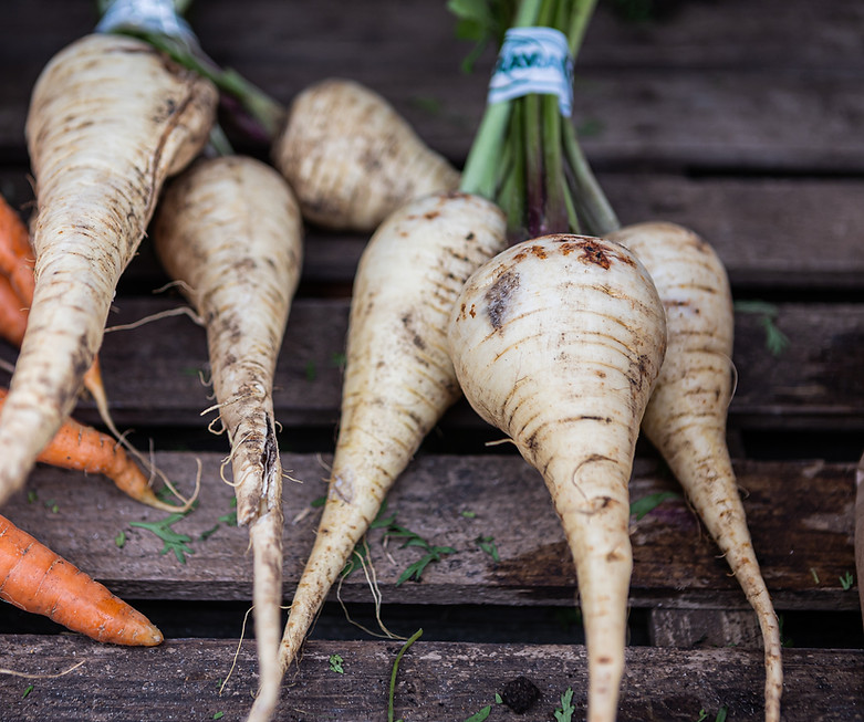 Our Parsnips | Alfred G Pearce