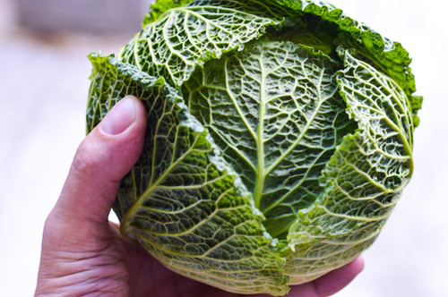 Organic Savoy Cabbage (ea - about 2.6 lbs) | JessicasOrganicFarm
