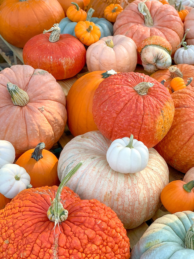 Got Pumpkin? 6 Innovative Ways to Reuse Them