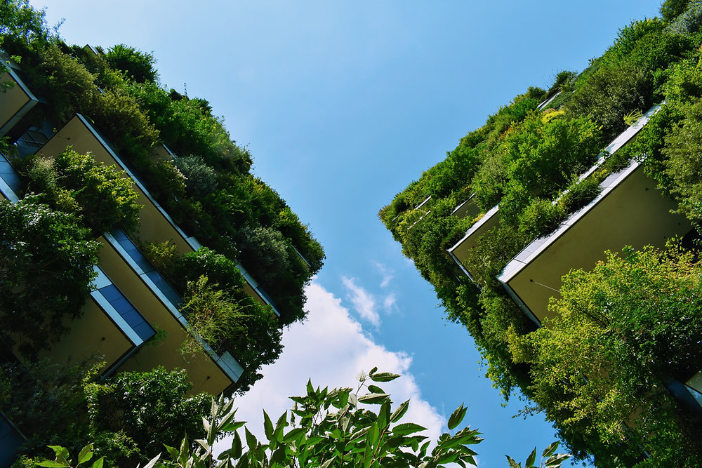 Going Green: inspiration to make workspace green & energised | Blog ...