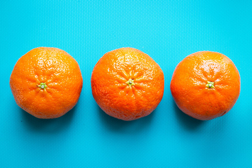 Kishu Seedless Mandarin Tree (2-3 feet) | Georgia Grown Citrus