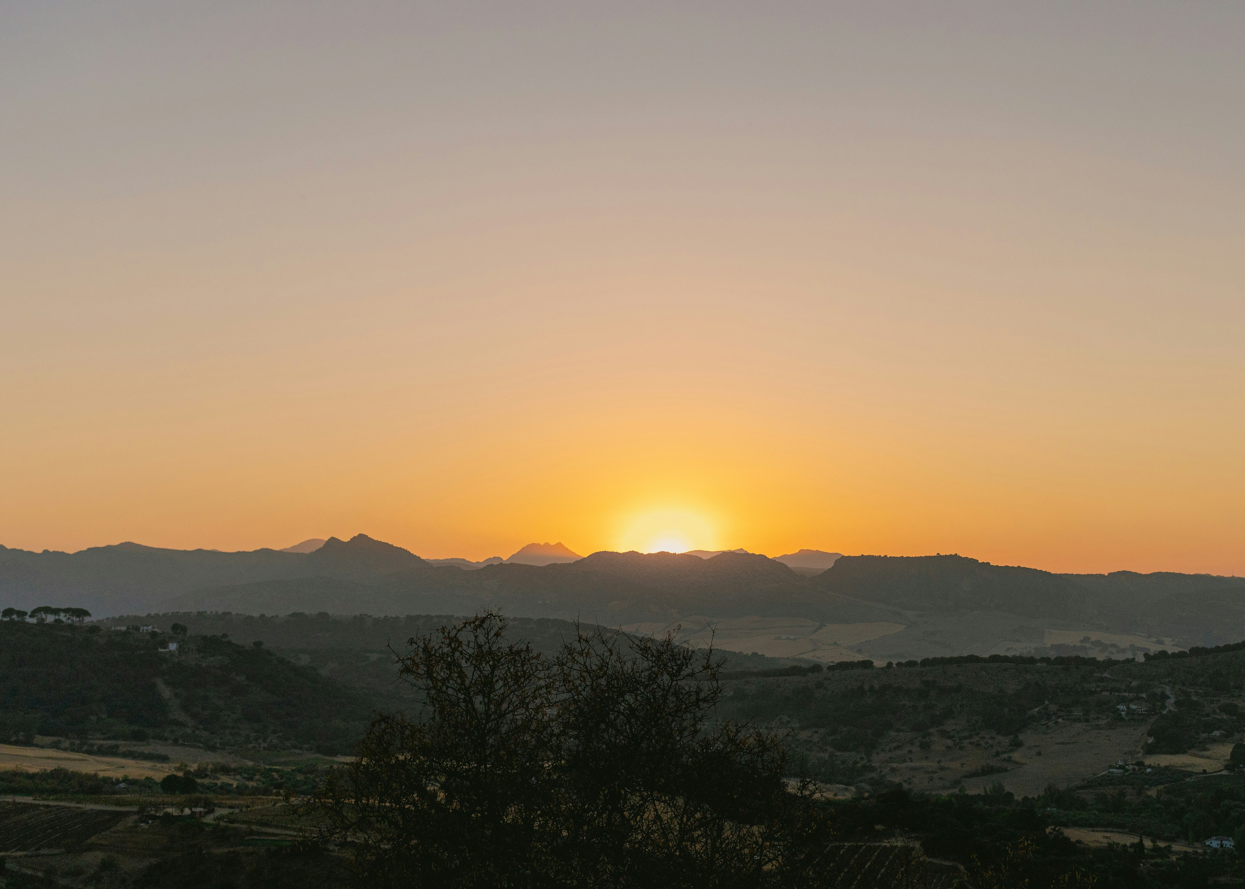 Exploring the National Parks Around Ronda: A Guide to Scenic Views ...