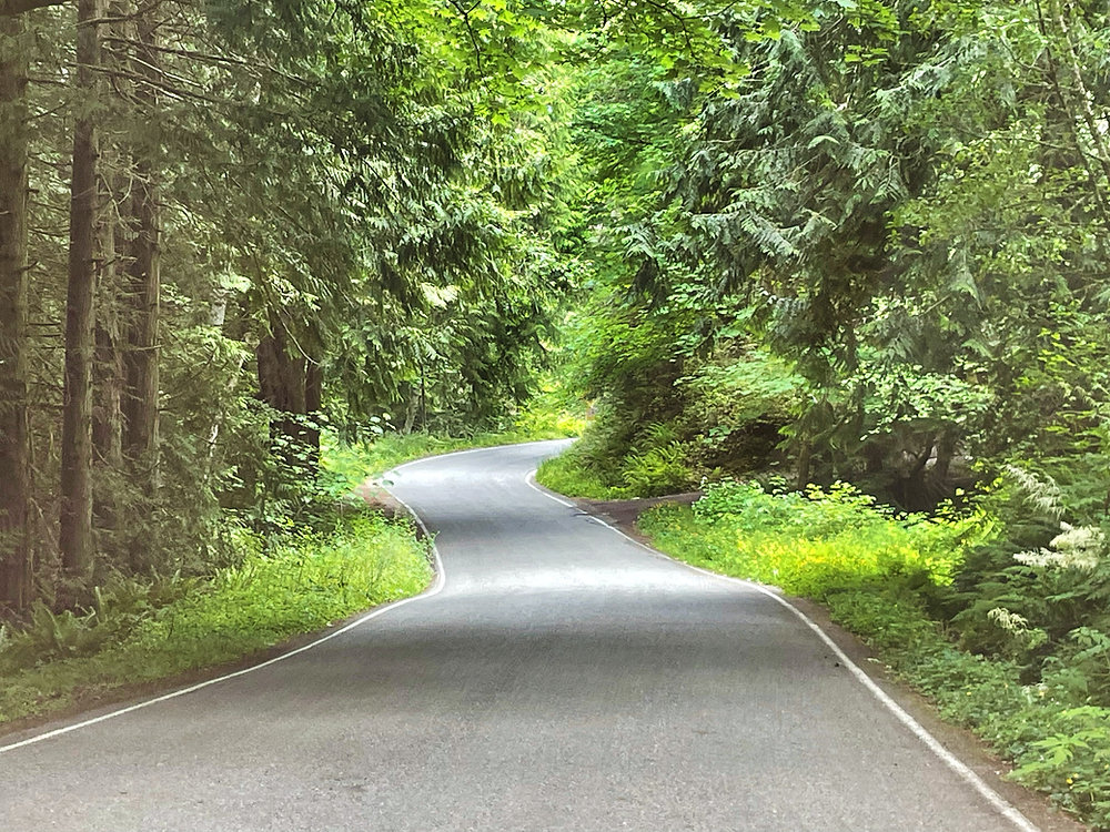 The Last 25 Years and the Next 25 Years - by Fred Wilf