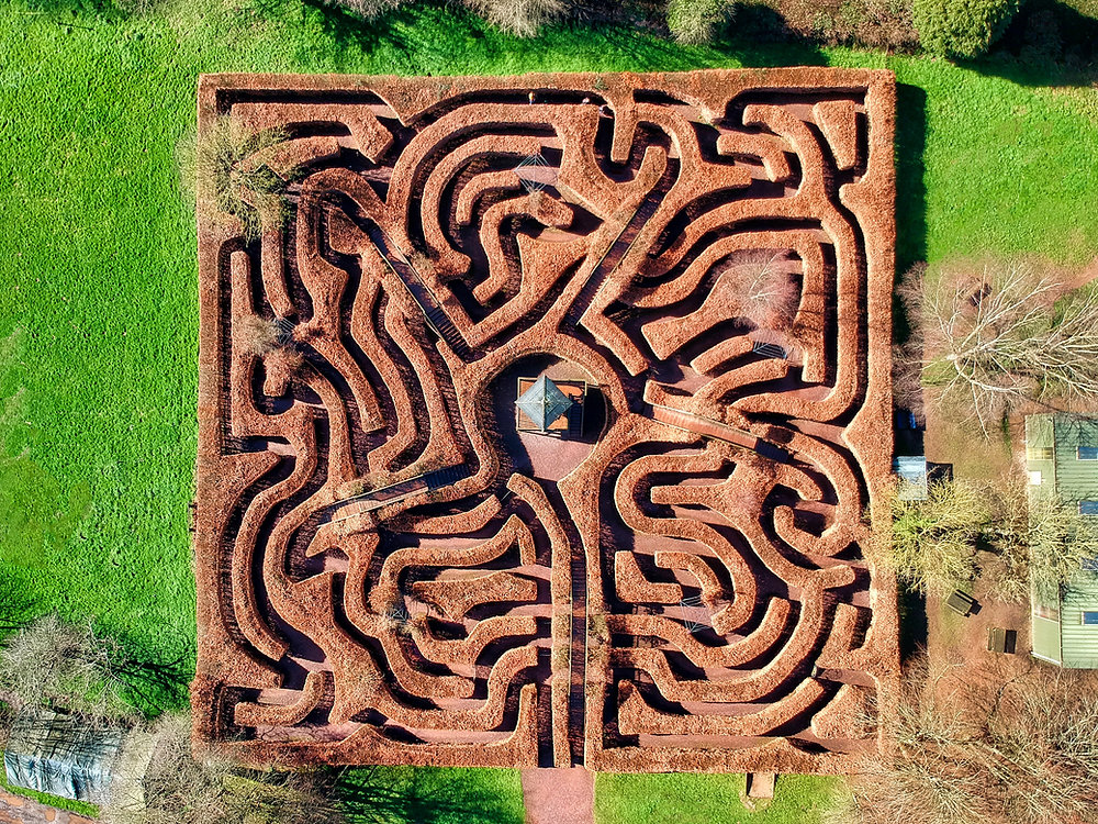Navigating the Maze: Essential Steps for Efficient Probate Application ...