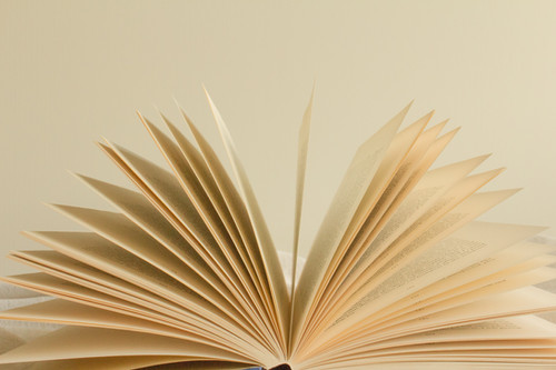 History Journals - Print Copy | Sac Historical Soc