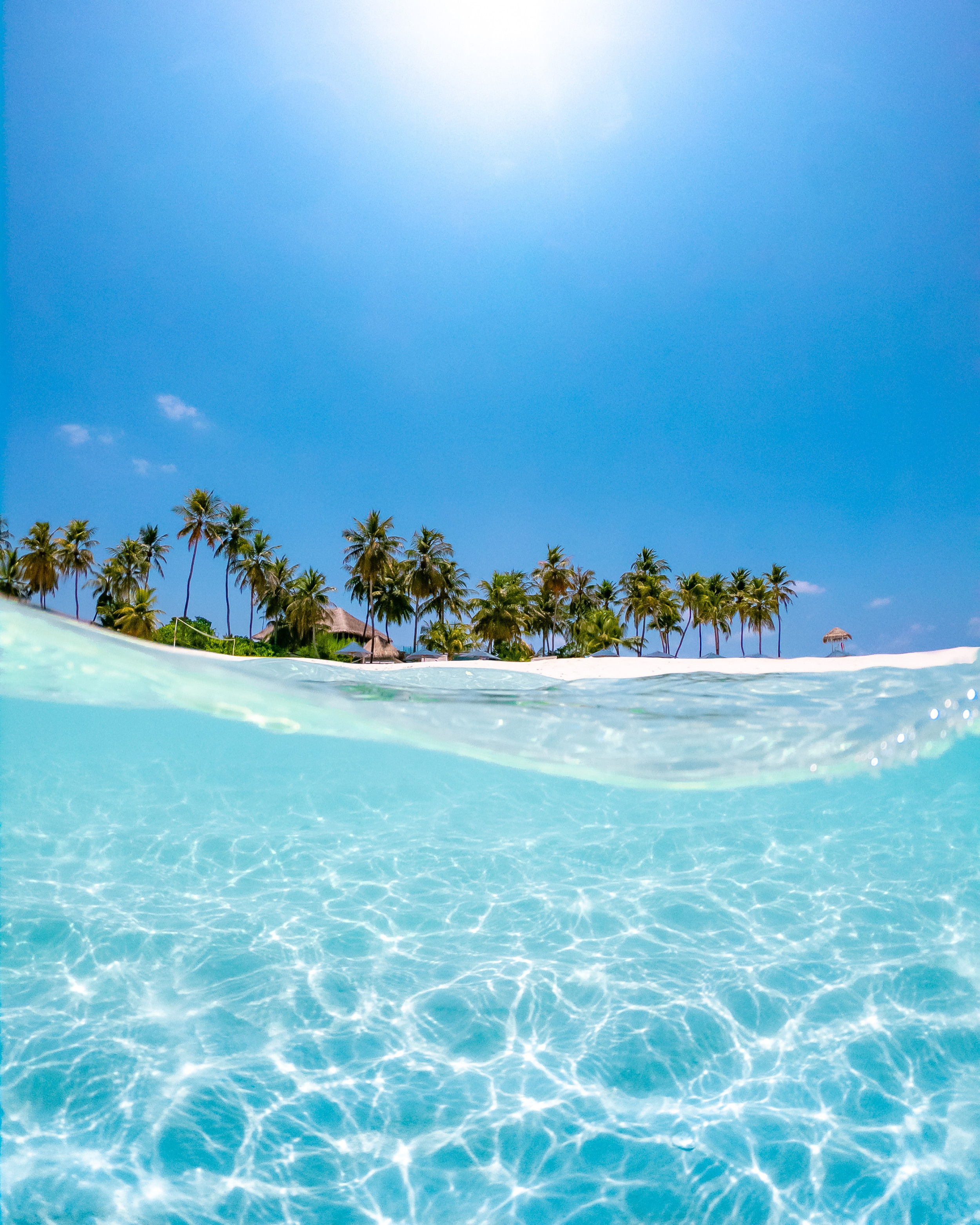 Dive into Paradise: A Guide to Scuba Diving in the Maldives