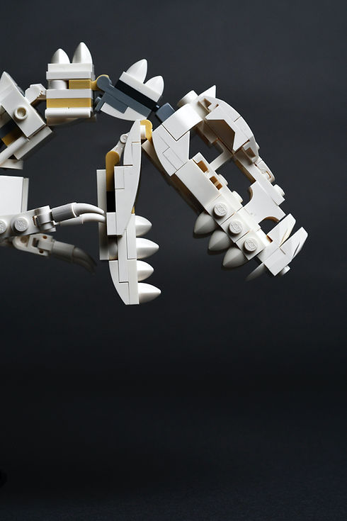 About | Brick League