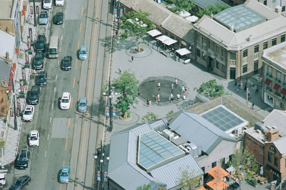 The Sustainability Revolution: A Survival Guide for the Next Generation