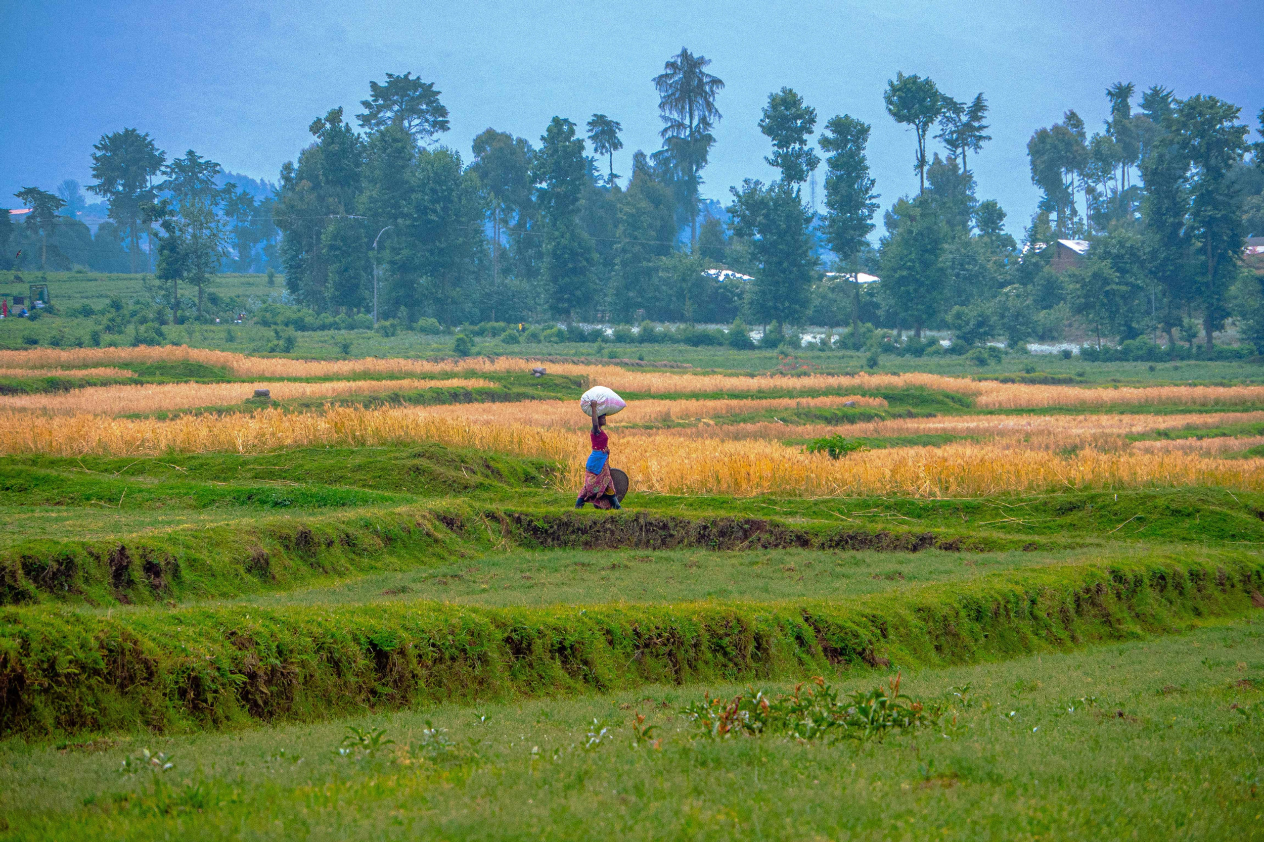 Rwanda Project Summary