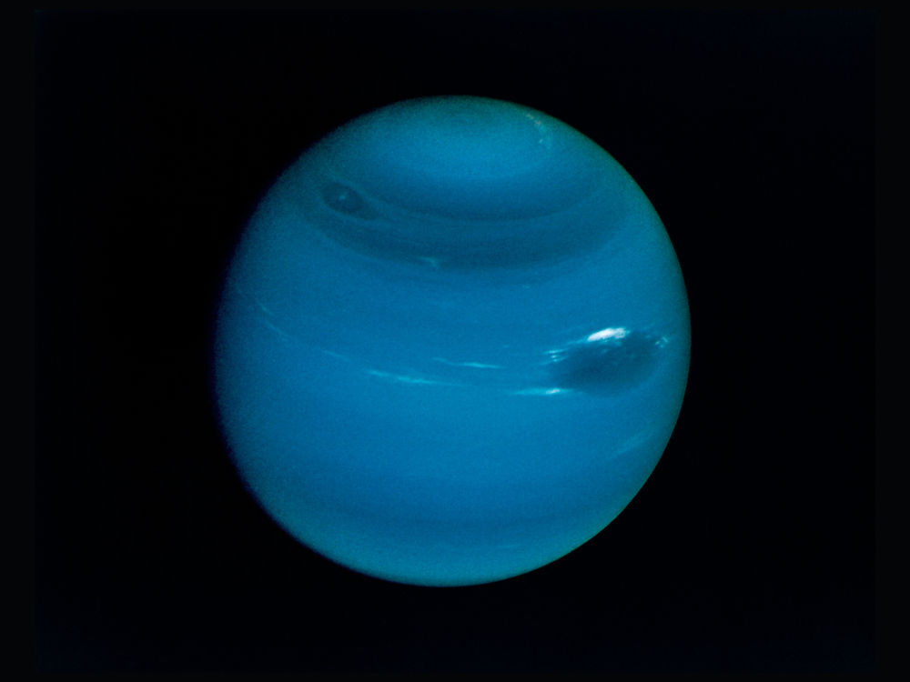 December 1, 2021 ~ Neptune Direct