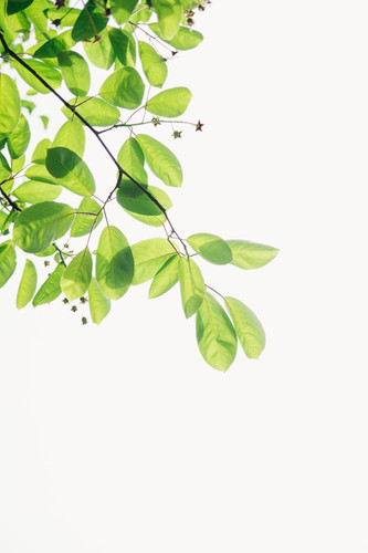 Making Sense of Anxiety | Jodi Bergman