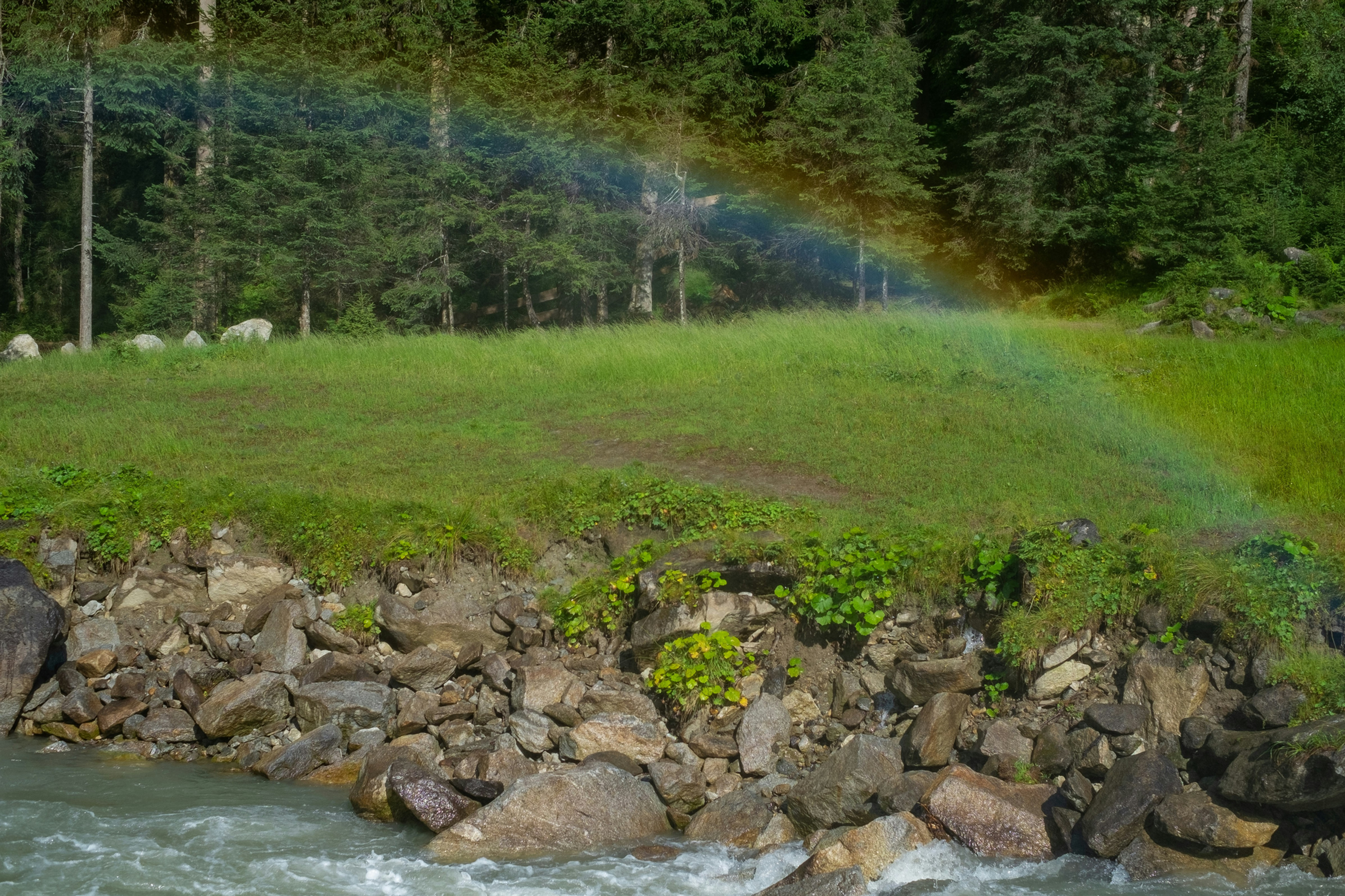 How human activity impacts the phosphorus cycle | Scientia News