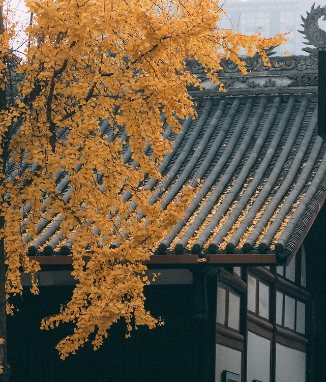 Meet Leng Lui | Holistic Herbalist