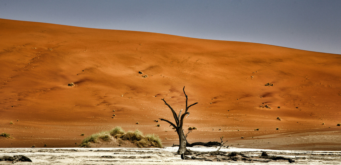 Pine Tours & Adventures | Namibia Tours