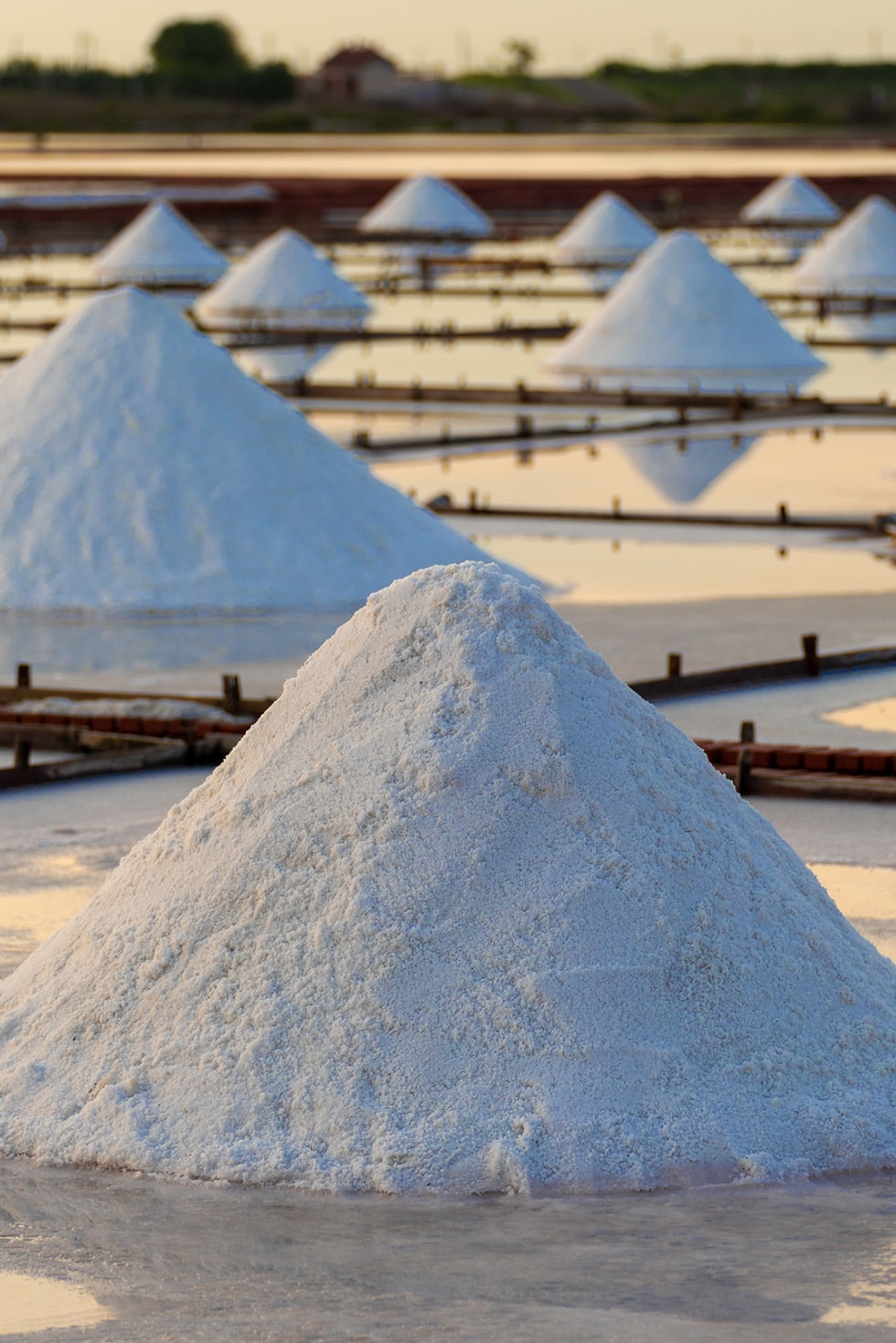 The Different Grades of Salt and Their Uses