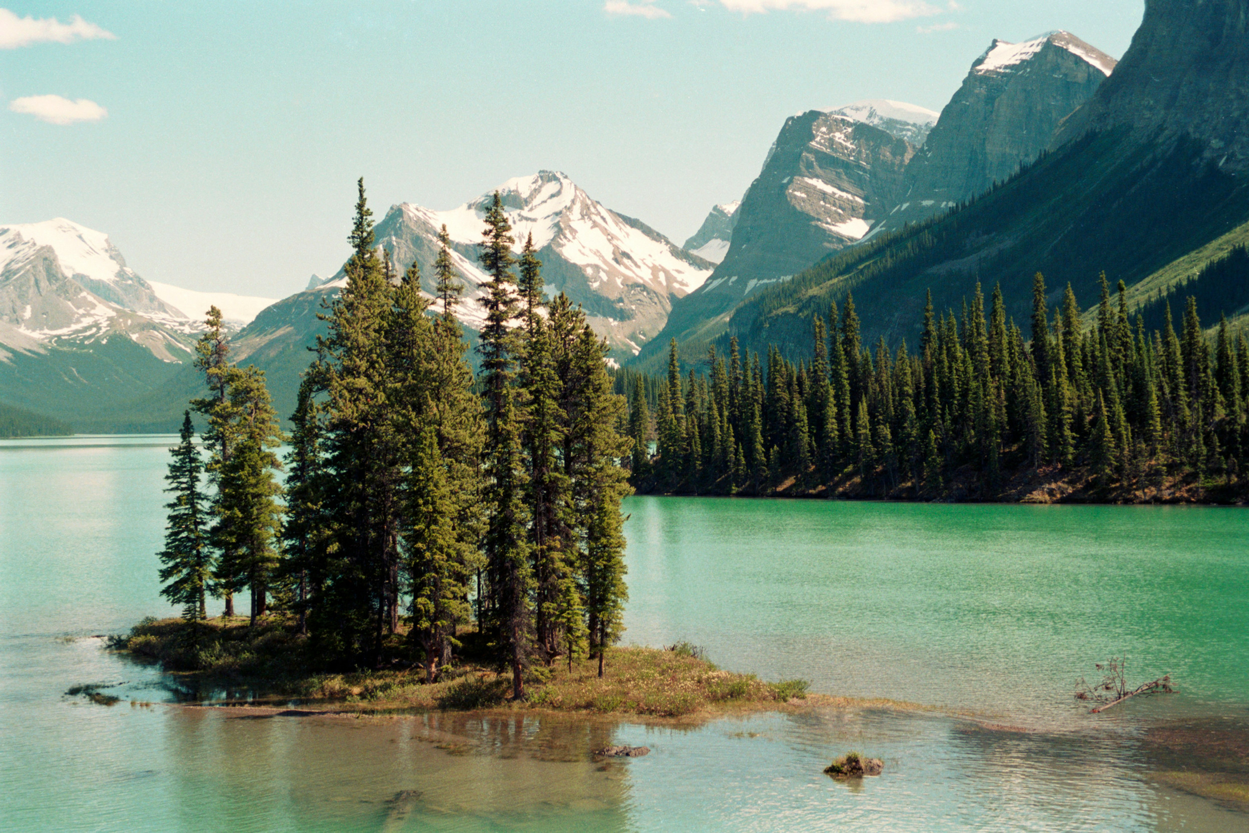 Is Alberta the New Delaware? Exploring the Advantages of Incorporating ...