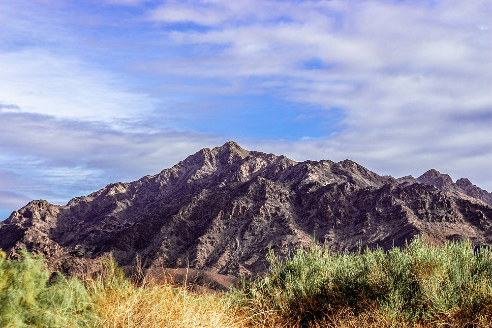 The Top 5 Languages Spoken in Yuma Arizona